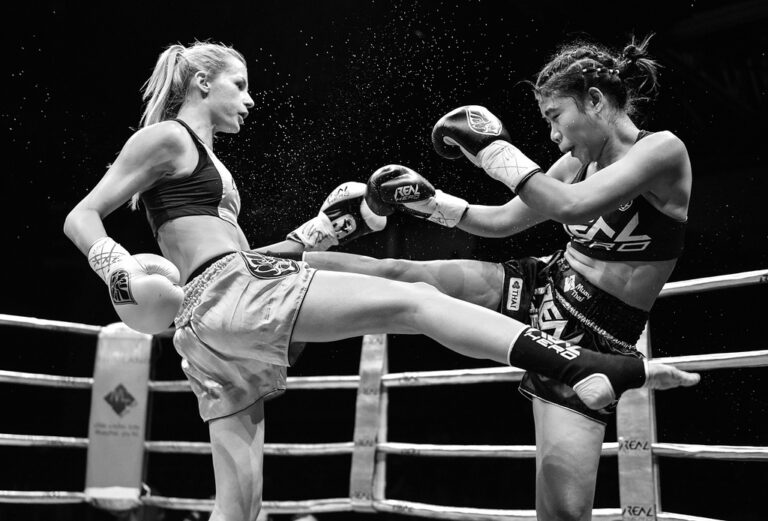 Hybrid Martial Arts & Fitness, LLC. – Chicago Martial Arts & Fitness